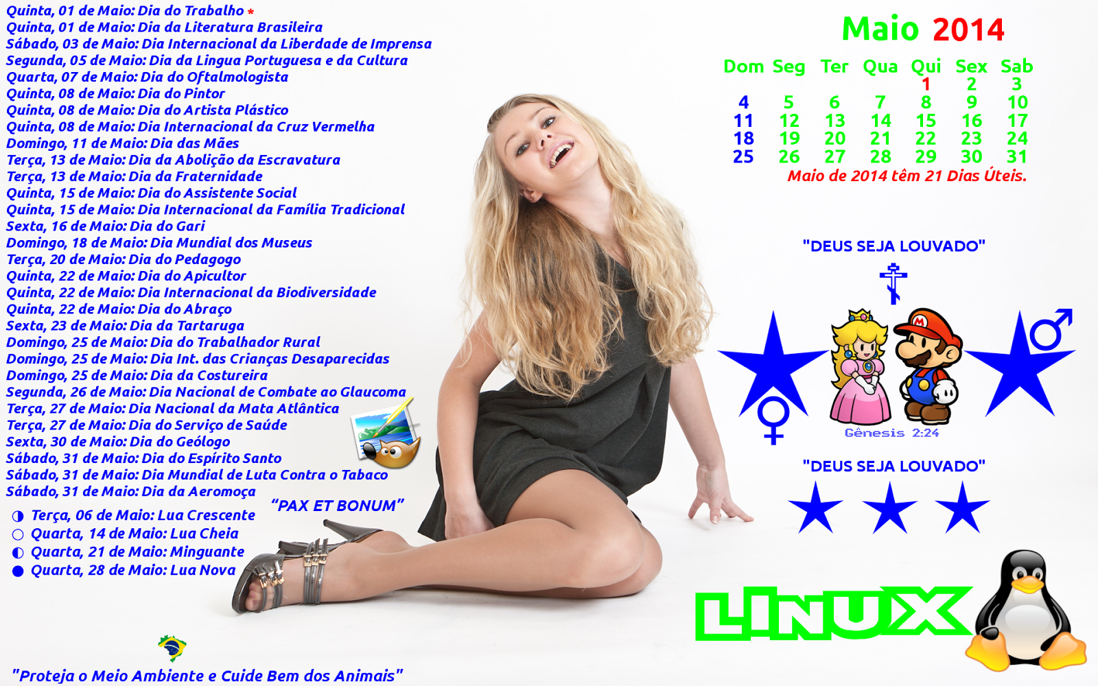 superlinuxmg-br: Ella Pasjakina Calendário Maio 2014 Promo-Gimp-Linux"[1920x1200]"-0011